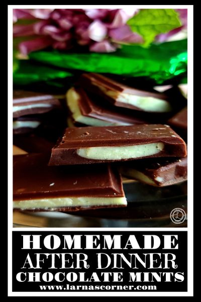 Homemade After-Dinner Chocolate Mints Recipe a decadent sweet