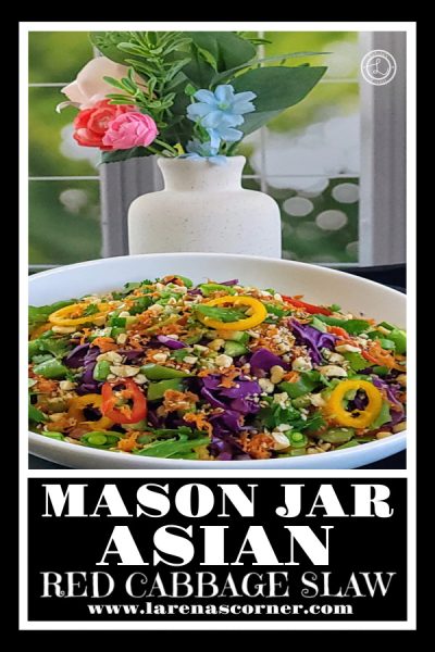 Asian Red Cabbage Slaw Recipe are portable, healthy and tasty.
